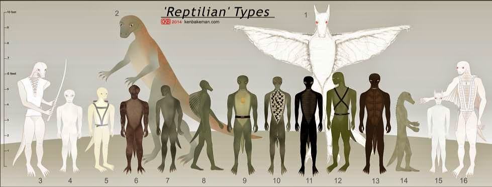 Die Reptiloiden regieren die Erde - sagt das Internet | MENIFY ...