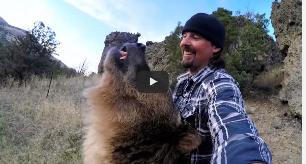 Casey Anderson und der Grizzlybär | MENIFY Männermagazin